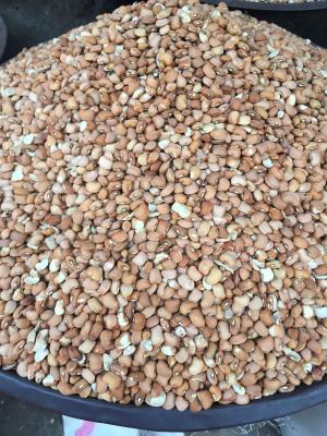 Easy And Efficient Ways Of Storing Nigerian Food Items